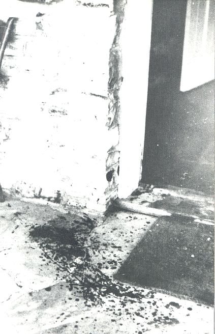 Sharon Tate - The Tate Murders - Celebrity Deaths: Findadeath